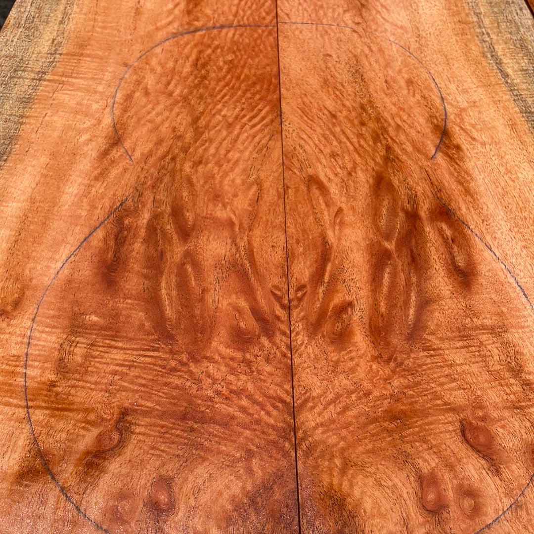 Curly Colorful Hawaiian True Mahogany Tenor Ukulele 6pc set – Kamuela ...